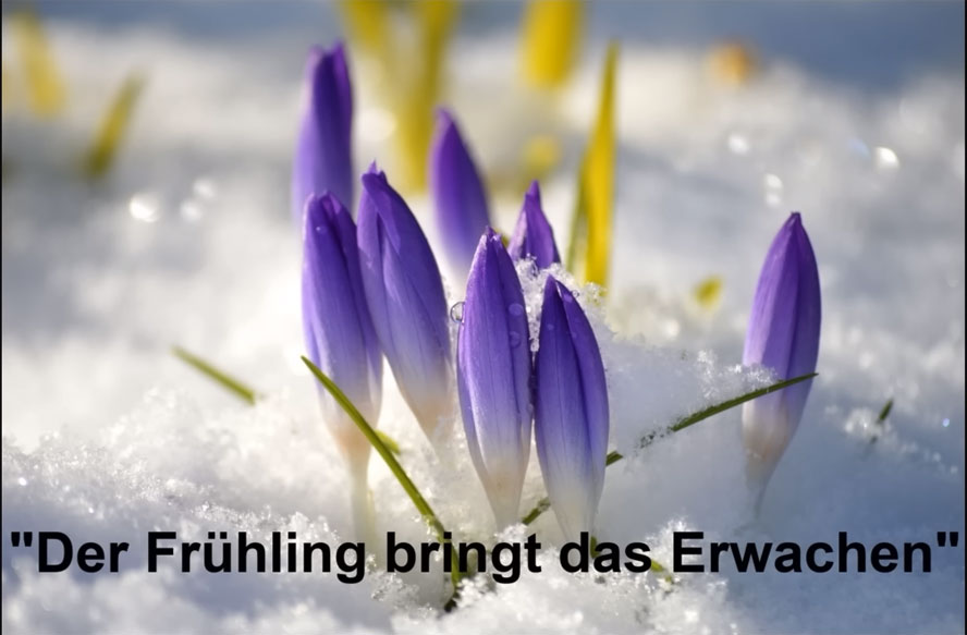 “Der Frühling bringt das Erwachen” – Erzengel Michael – Innovatief ...